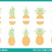 Buy Pineapple SVG Bundle, Pineapple Svg Files, Pineapple Monogram Frame ...