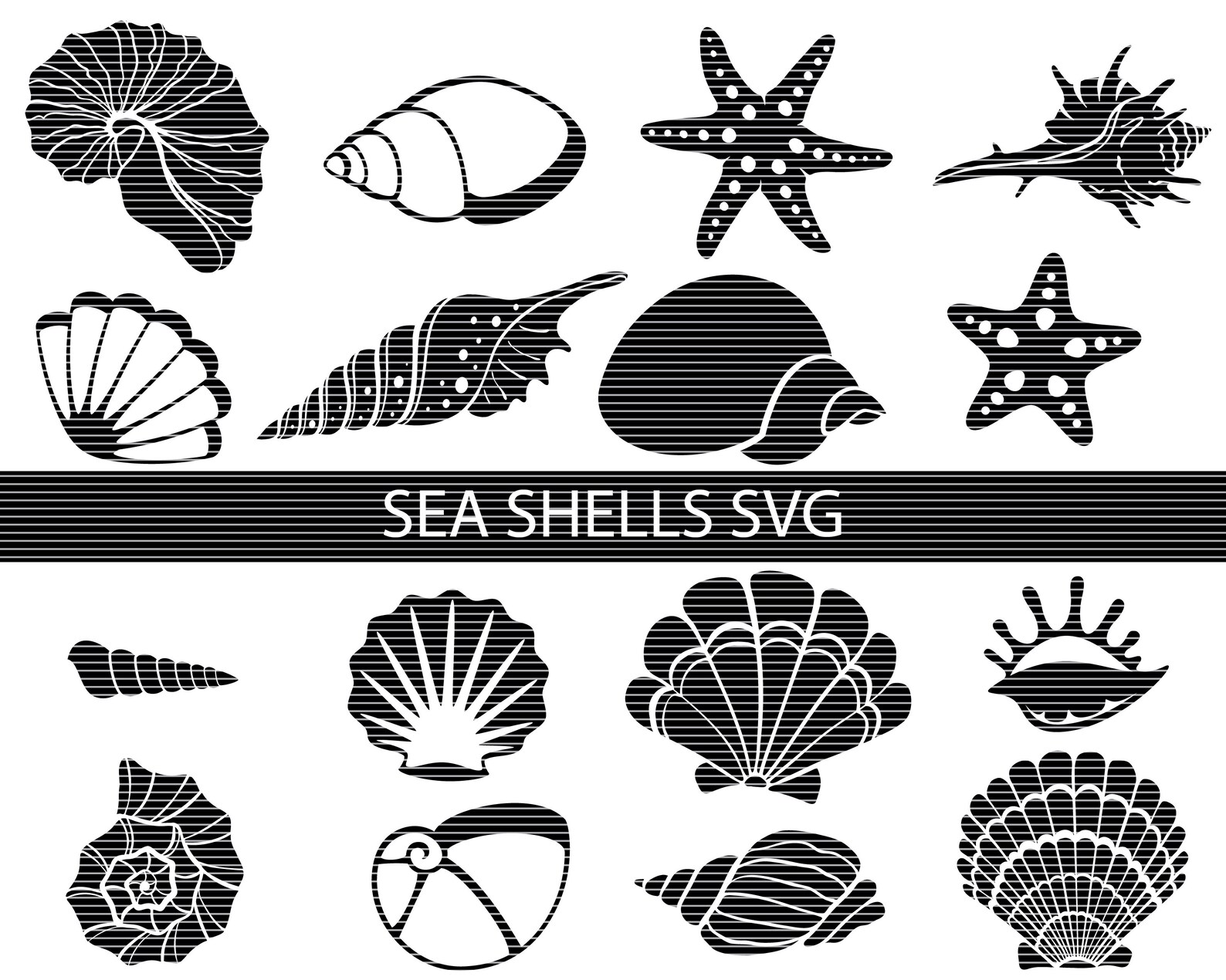 Sea Shells SVG Bundle Seashells Svg Beach Svg Ocean Cut - Etsy Canada