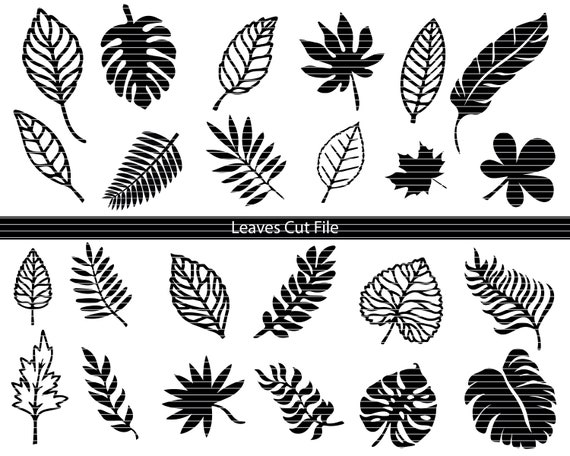 Leaf Svg