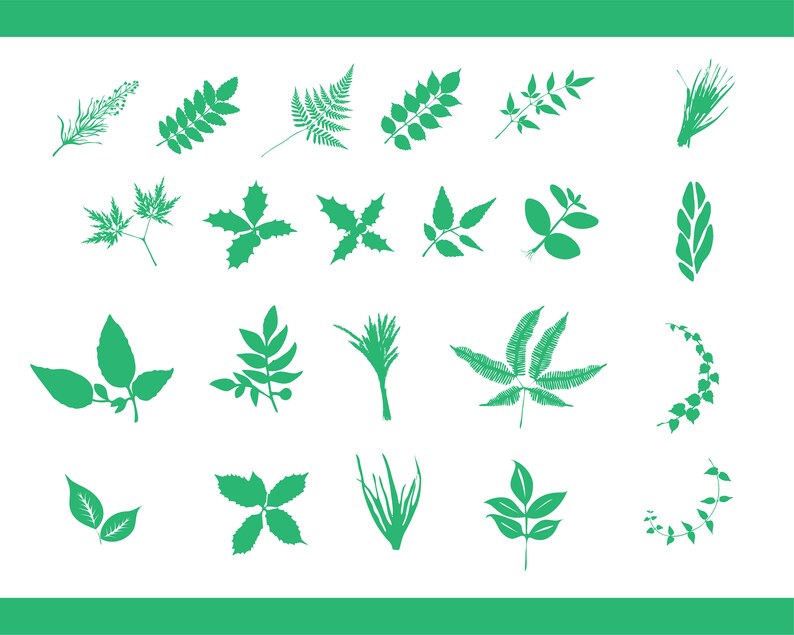 Leaf Svg Bundle Leaf Shape Silhouette Svg Leaves Svg Bundle - Etsy
