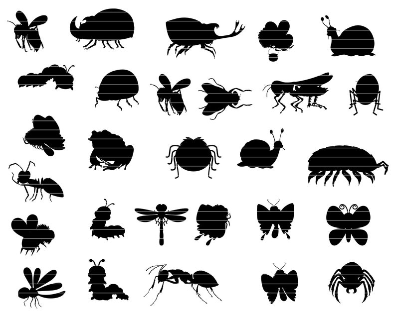 Insect Svg Bundle Insect Silhouette Svg Insect Clipart - Etsy