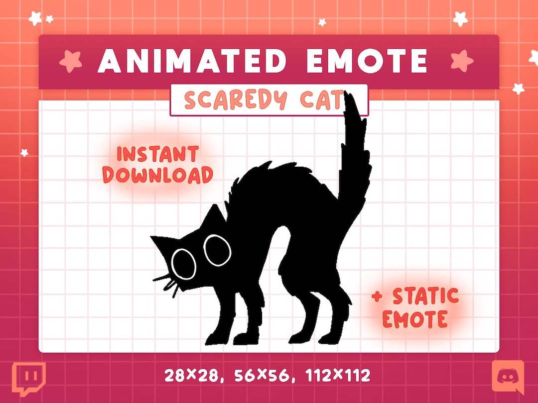 Scared Black Cat Animated Emote: Discord Twitch Emotes for Streaming ...