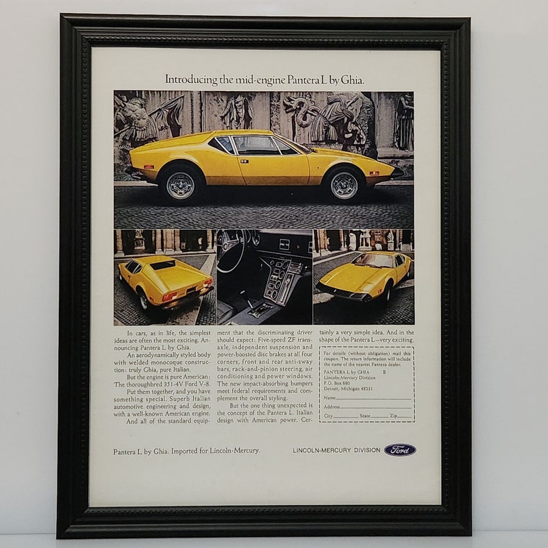 Pantera Poster - Etsy