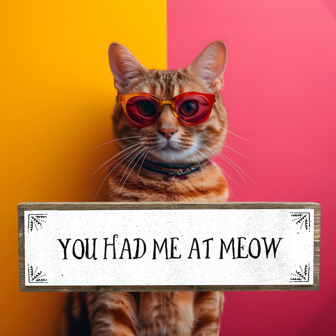 You Had Me at Meow - Wooden Sign With Metal - Cat Mom Gifts - Cool ...