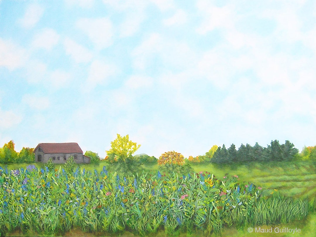 Meadow at Old Hook Farm - Etsy