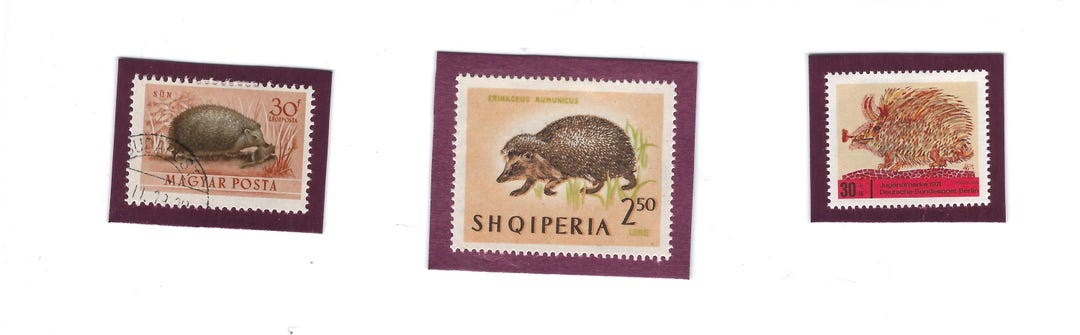 Set of Three Hedgehogs Postage Stamp Magnets - Etsy