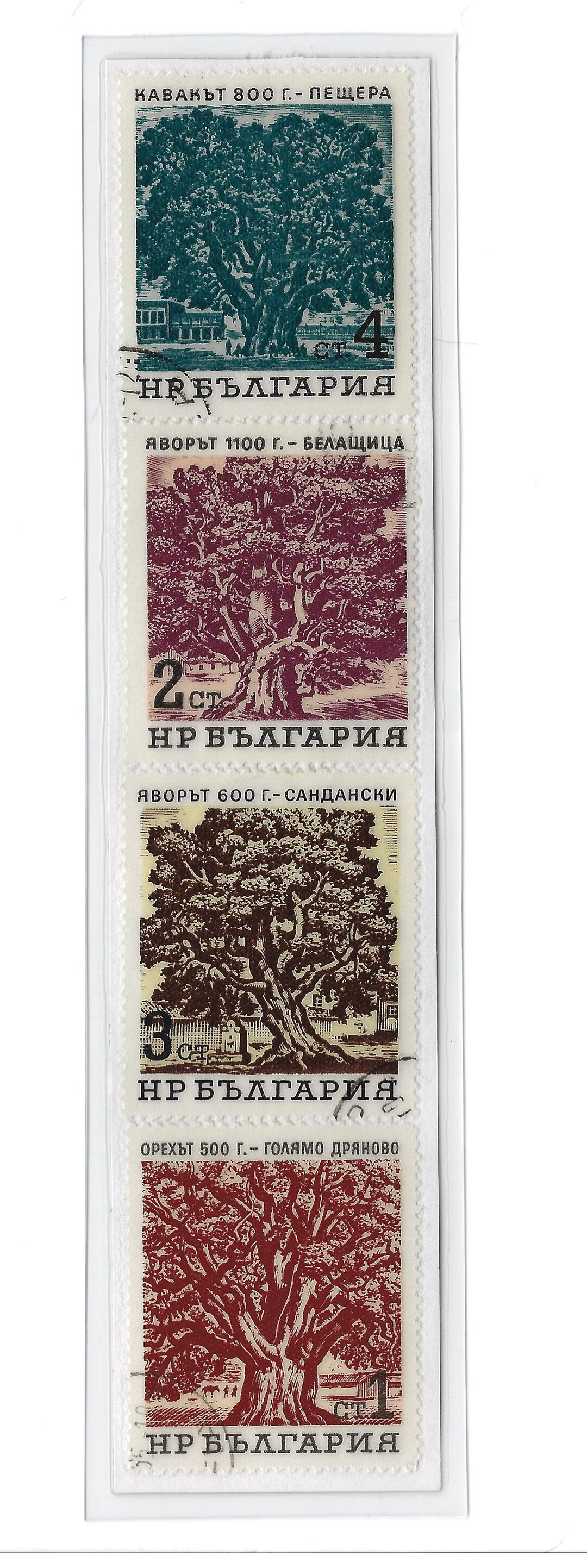 Old Trees Postage Stamps Bookmark - Etsy