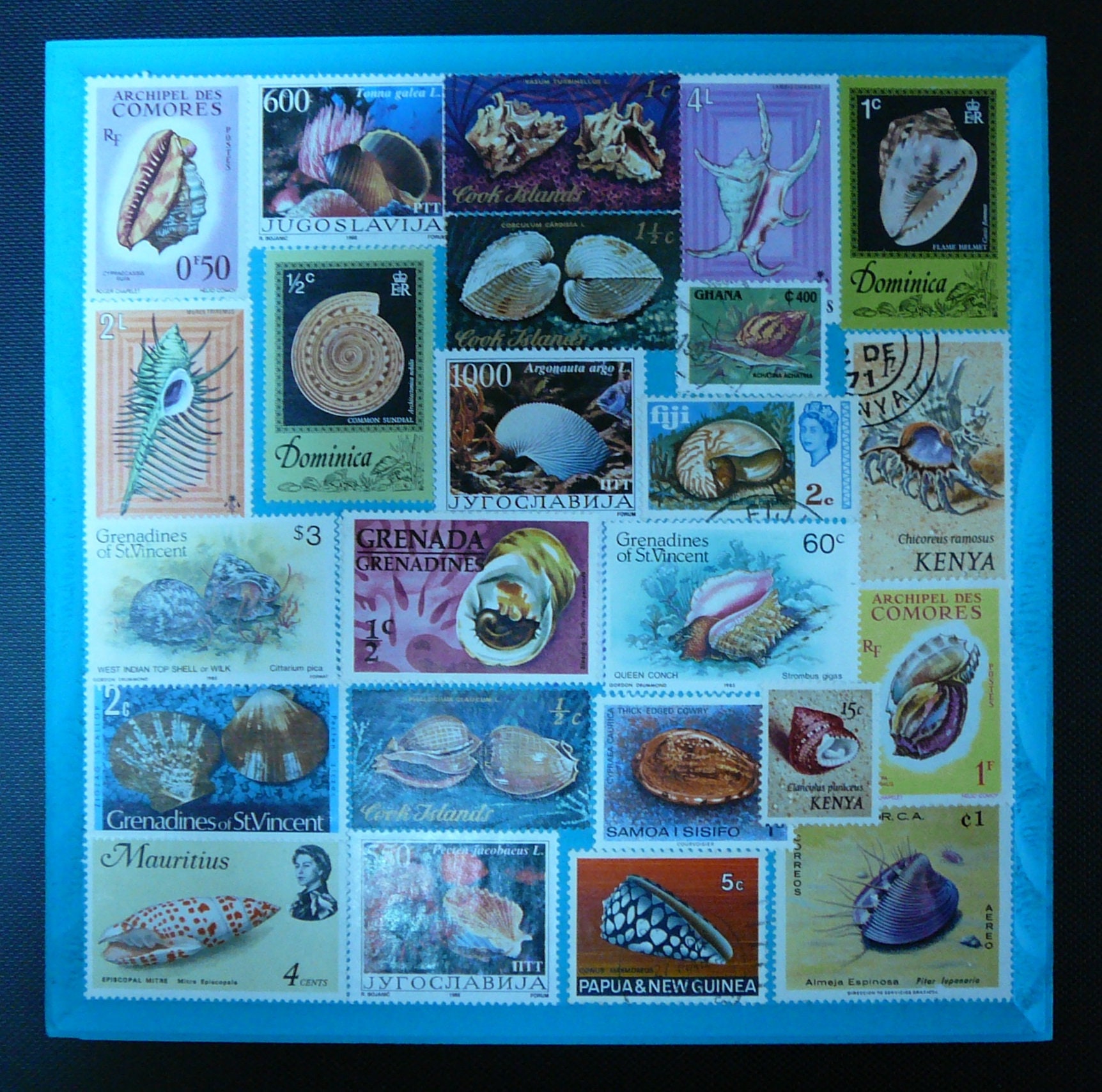 Tropical Shells Postage Stamp Collage - Etsy