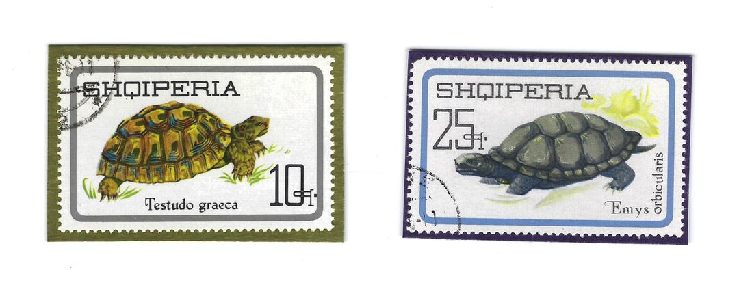 Pair of Turtles Postage Stamp Frig Magnets - Etsy