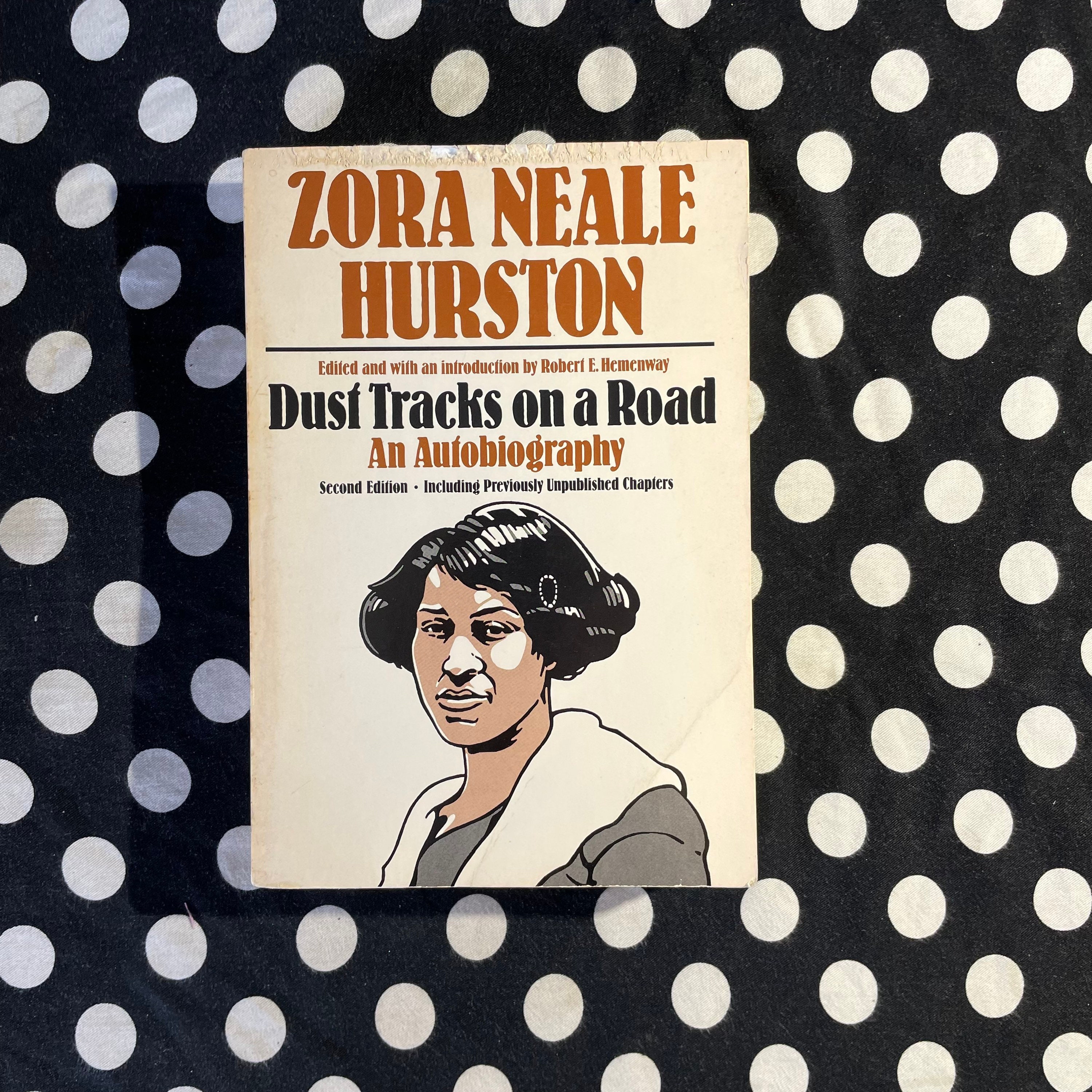 Dust Tracks On A Road Cover