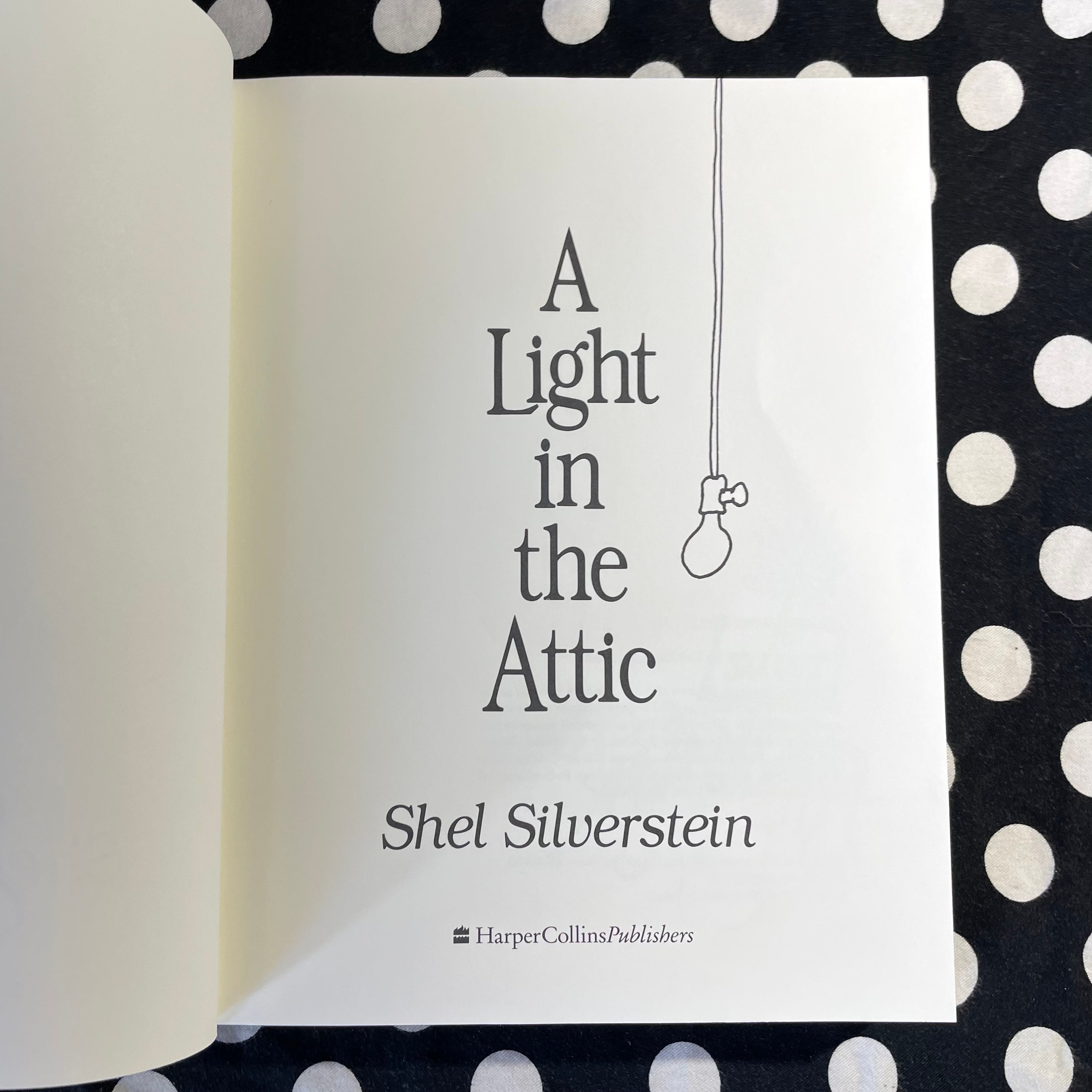 A Light In The Attic Poems And Drawings