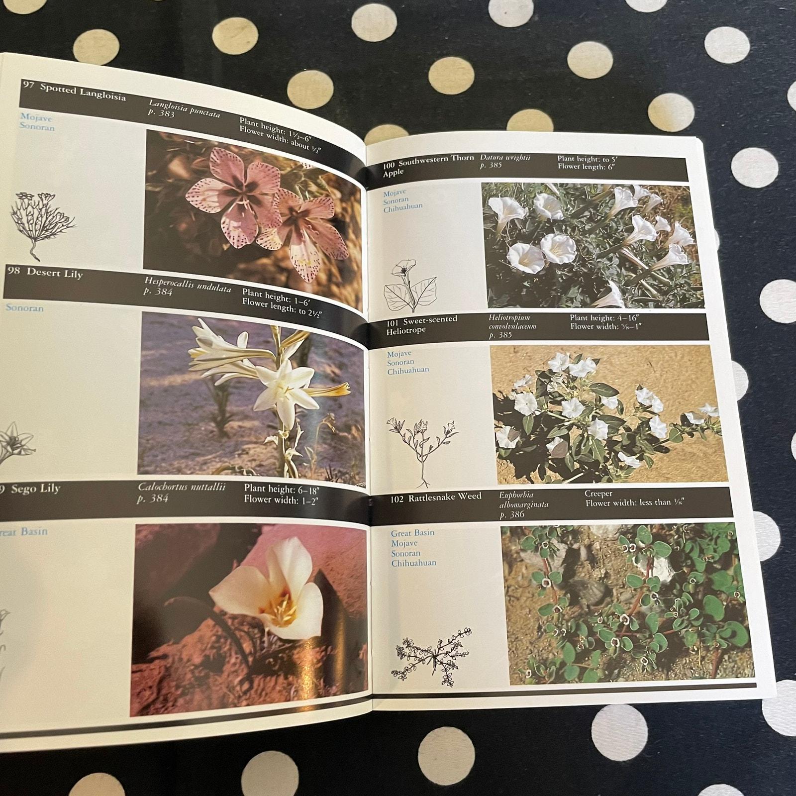 Deserts - the Audobon Society Nature Guides (1987 Softcover Edition) - Etsy