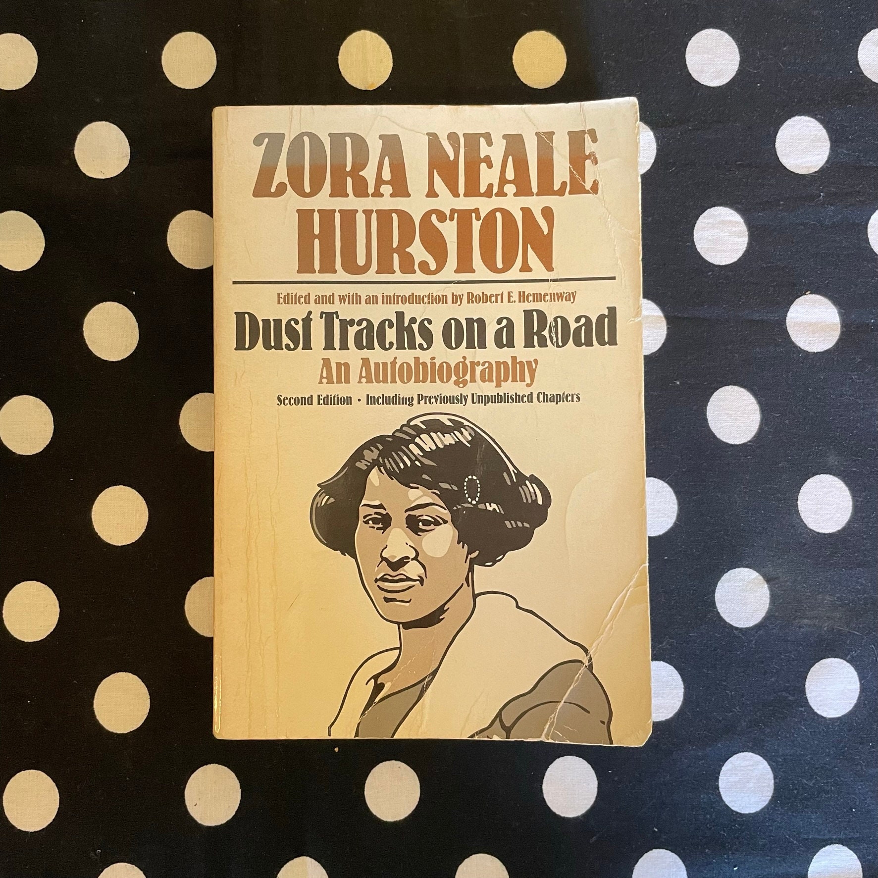 Dust Tracks On A Road