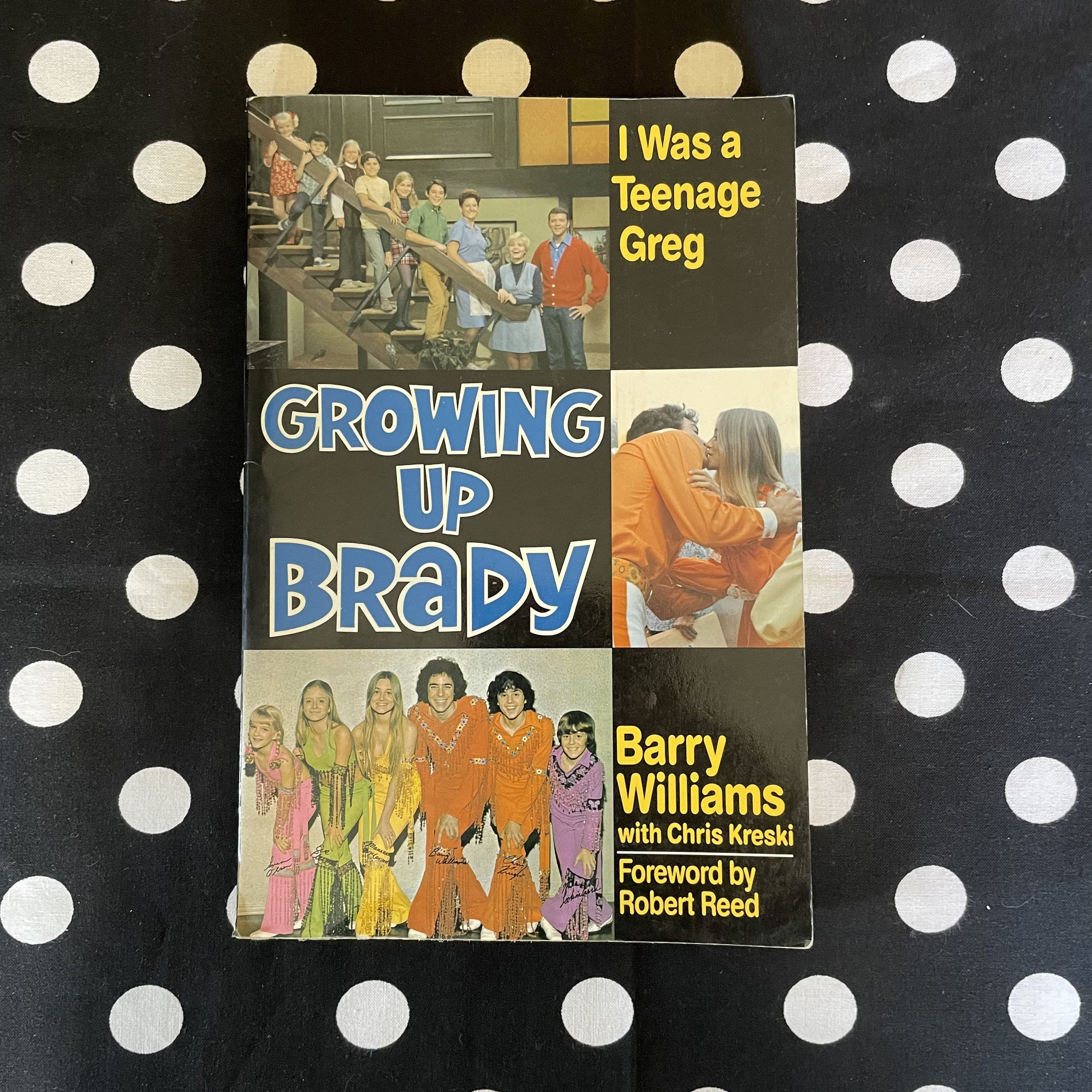 Growing Up Brady Book