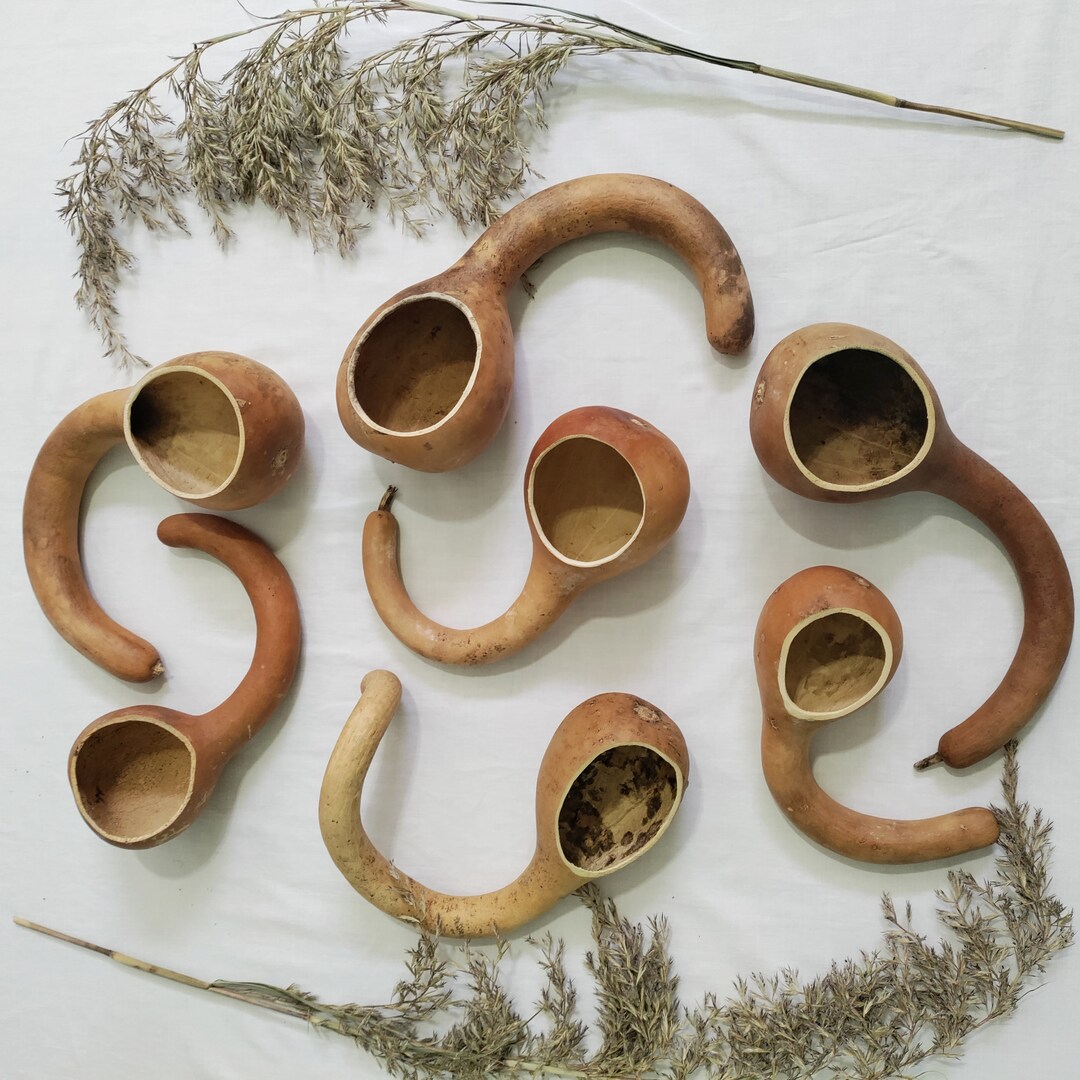 Gourd Tabletop Planter, Gourd Art, Gourds, Indoor Planters, Home Decor ...