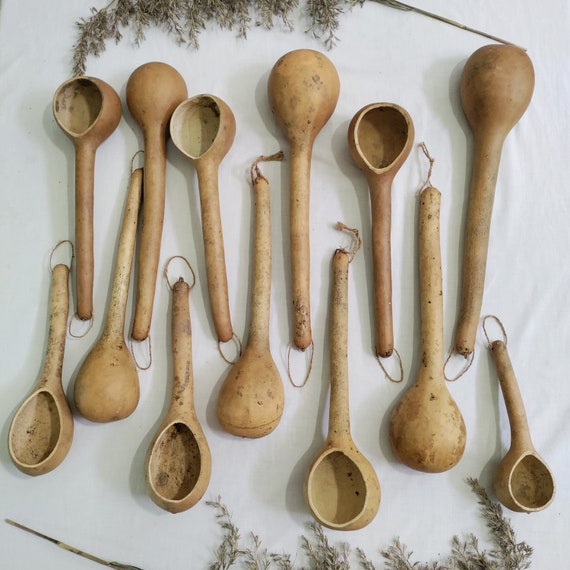 Straight Gourd Dippers Gourd Ladles Gourd Scoops Gourd Art - Etsy
