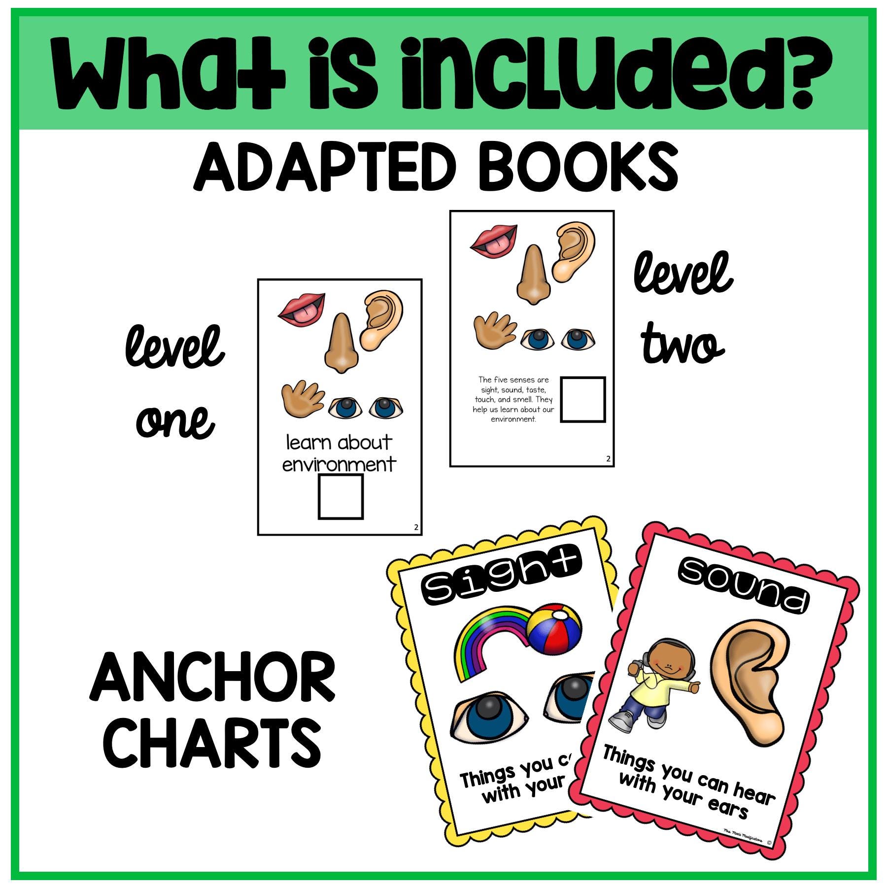 The 5 Senses Adapted Book {book 1} - Etsy