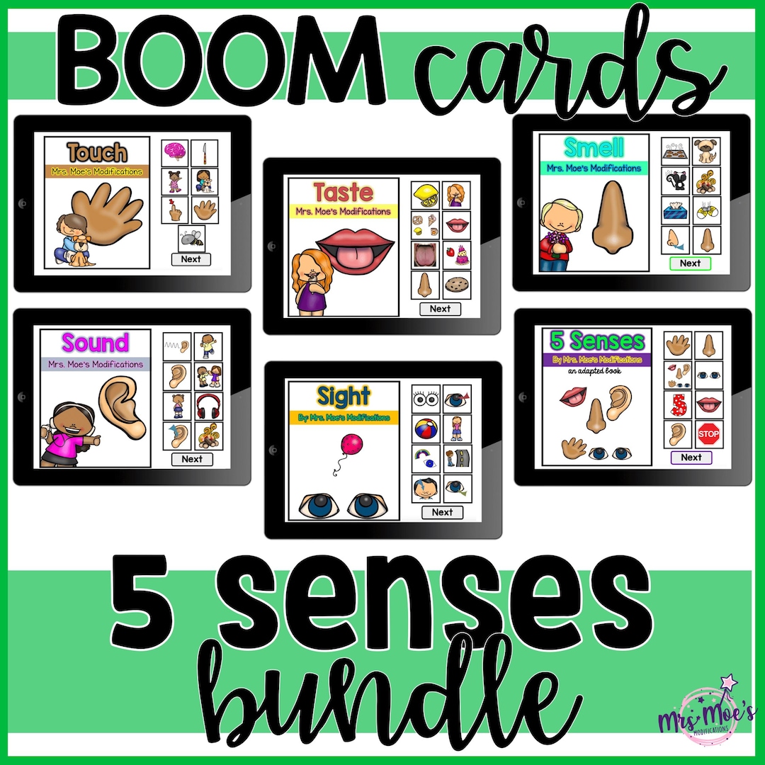 5 Senses Adapted Book Bundle - Etsy