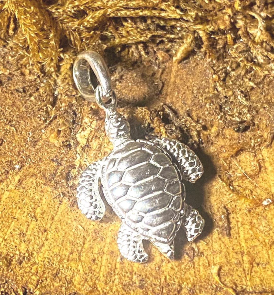 Goddess Designs / Detailed Swimming Turtle Sterling Silver Charm ...