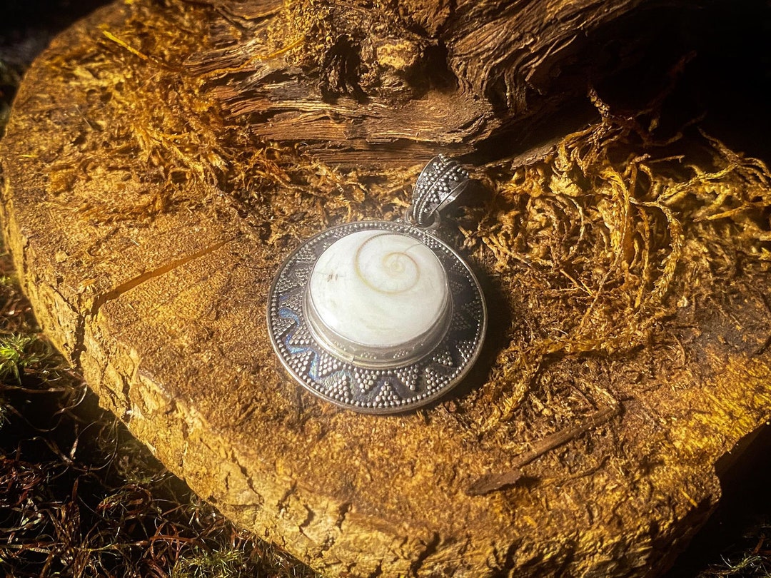 Ingapani / Natural Shiva Shell Sterling Silver Filigree Circle - Etsy