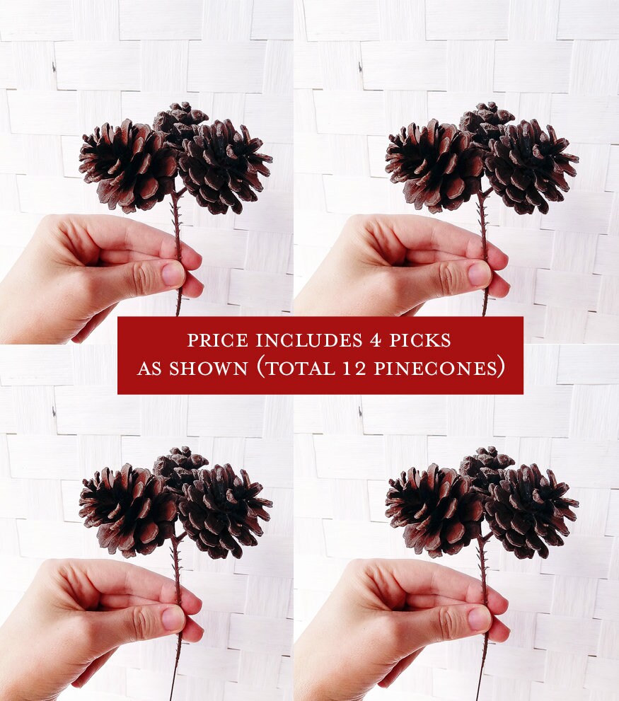 SET of 4 Pine Cone Picks Pinecone Picks Floral Picks - Etsy