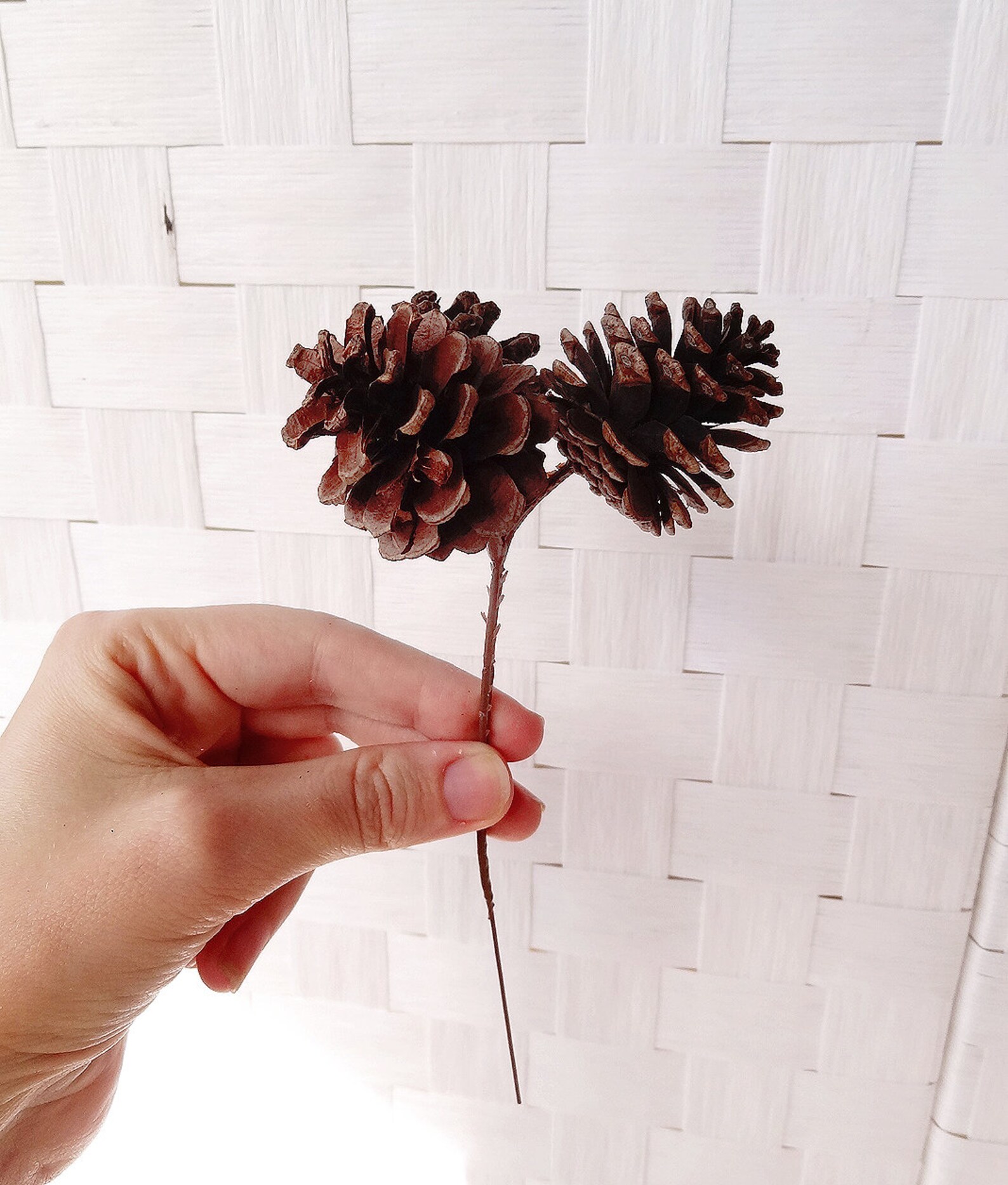 SET of 4 Pine Cone Picks Pinecone Picks Floral Picks - Etsy