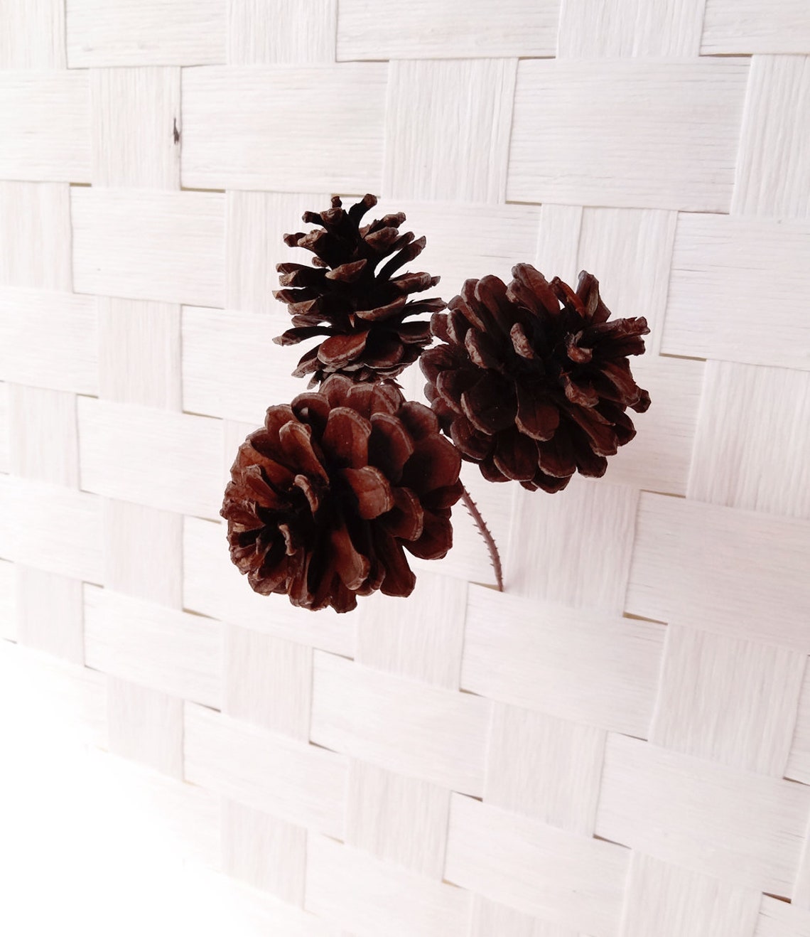 SET of 4 Pine Cone Picks Pinecone Picks Floral Picks - Etsy
