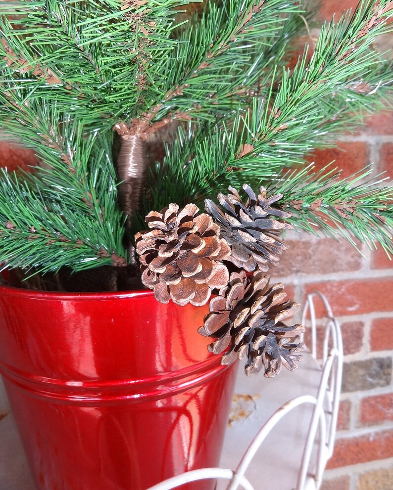 SET of 4 Pine Cone Picks Pinecone Picks Floral Picks - Etsy