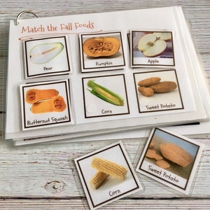Busy Book: Fall, Toddler Printable Quiet Book, Preschool Learning ...