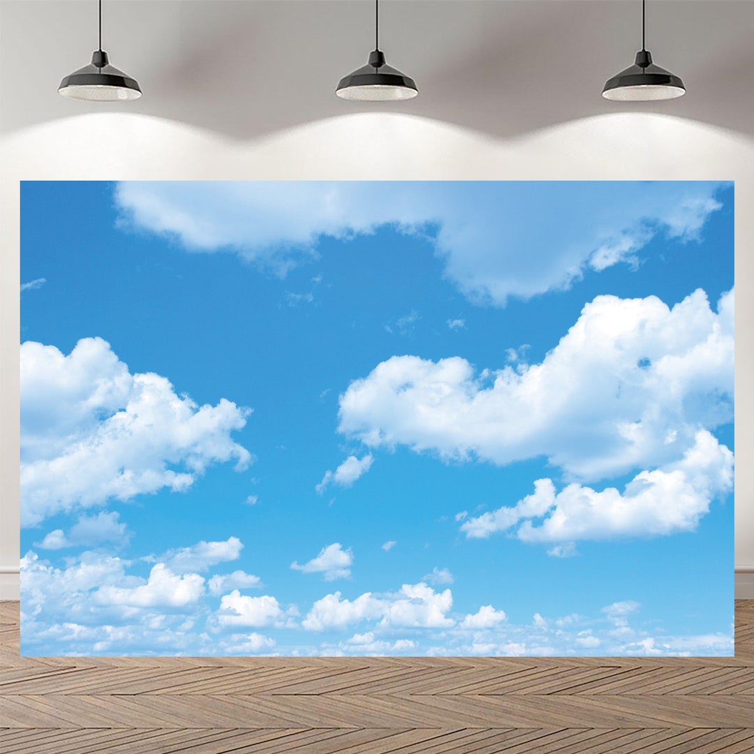 Summer Cloud Sky Backdrop Party Backdrop Baby Shower Photography Custom Birthday Background ...