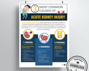 Anatomy of Nephron Print | DIGITAL DOWNLOAD | Nephrologist Gift ...