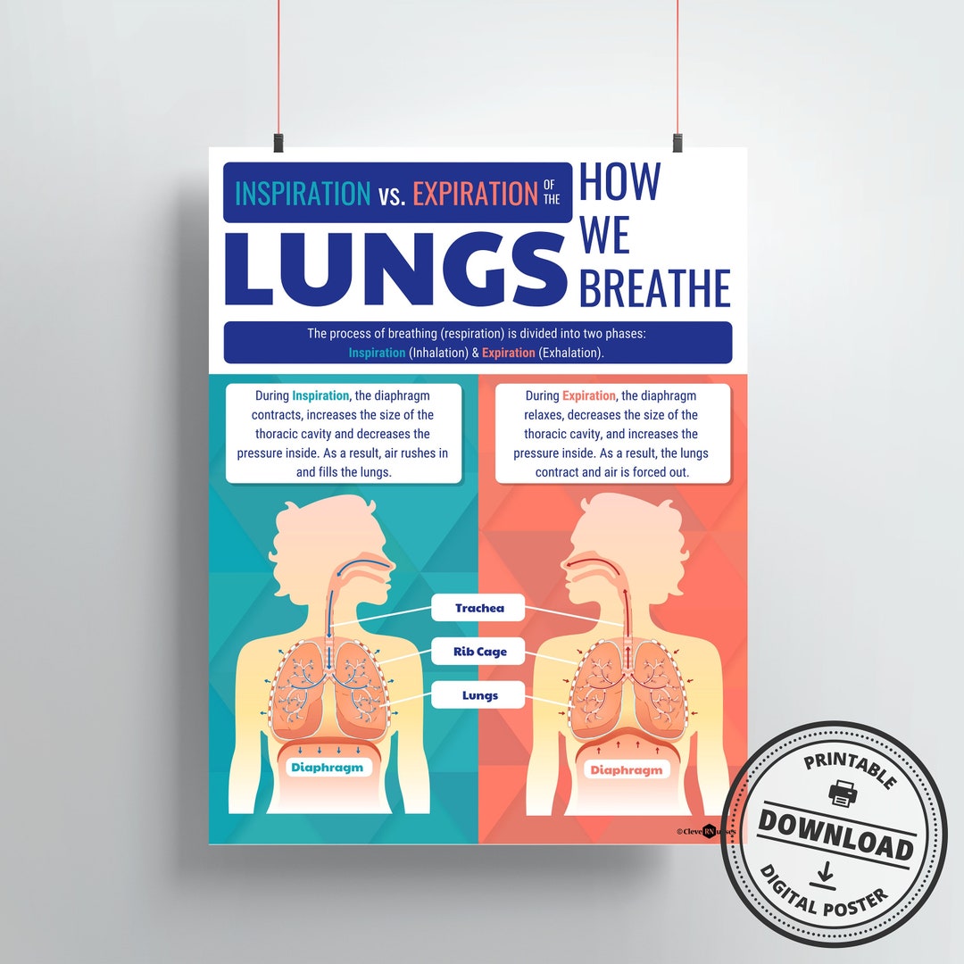 Inhale and Exhale Print | DIGITAL DOWNLOAD | Pulmonologist Gift ...