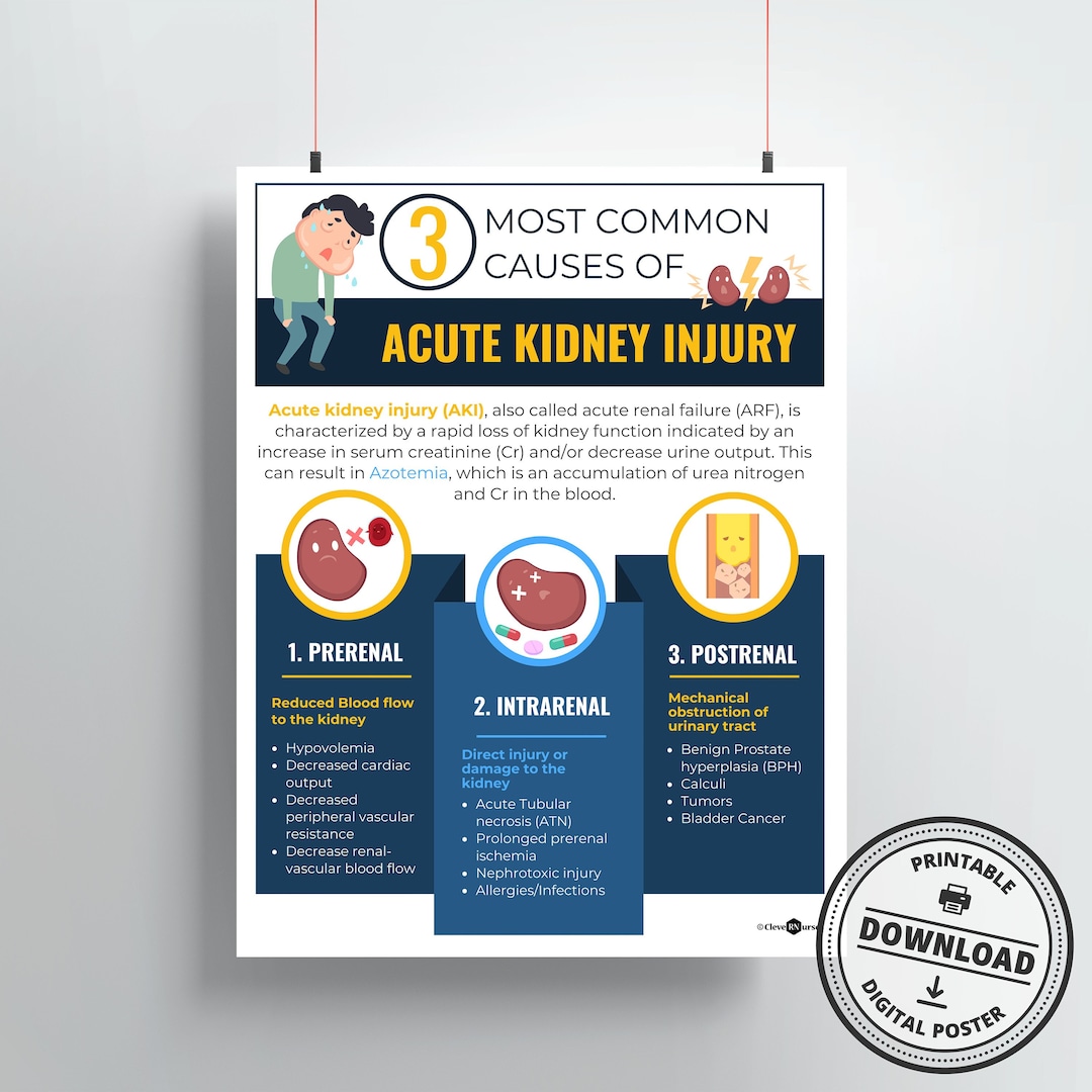 Causes of Acute Kidney Injury Print | DIGITAL DOWNLOAD | Nephrologist ...