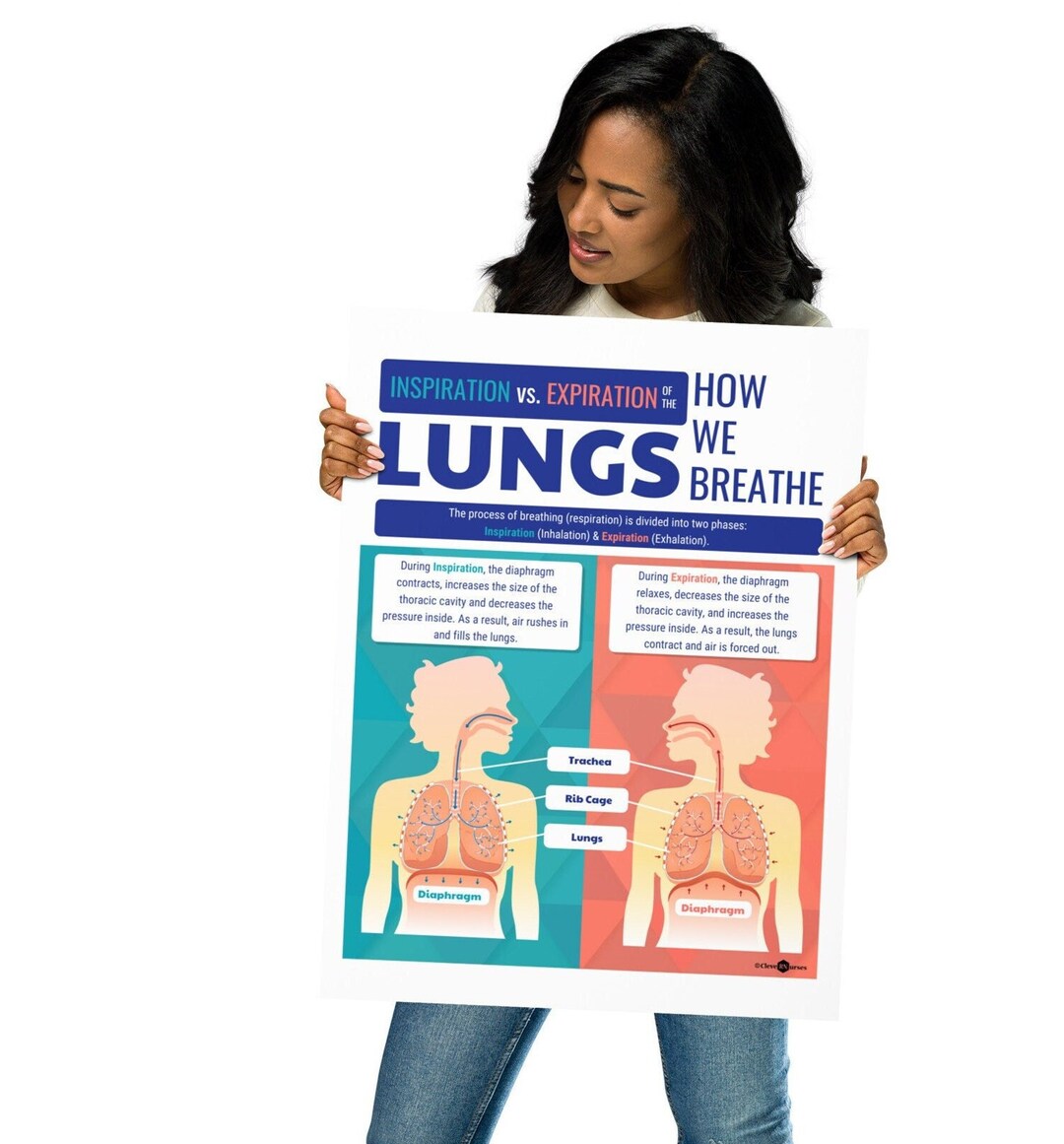 Inspiration Vs. Expiration Print | Pulmonologist Gift | Doctor Office ...