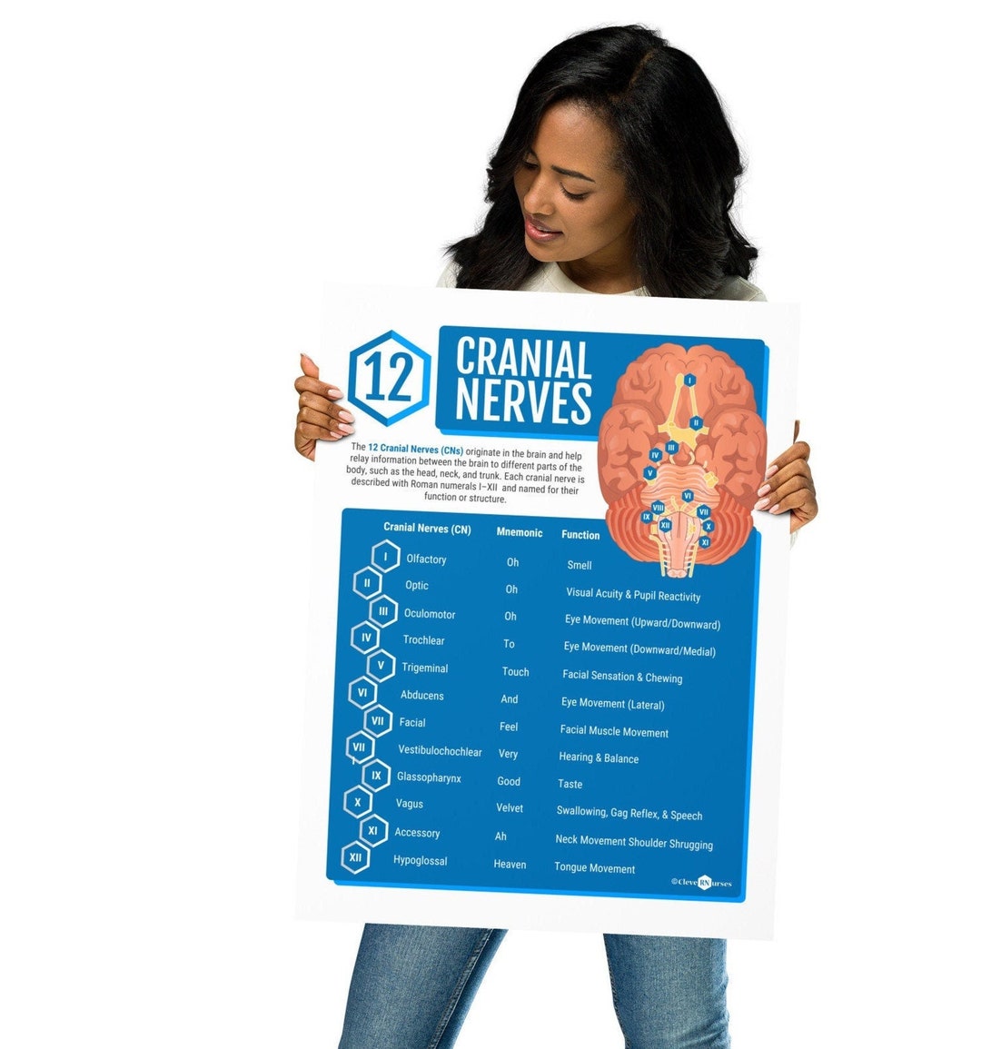 12 Cranial Nerves Print | Neurology Gift | Doctor Office Decor ...