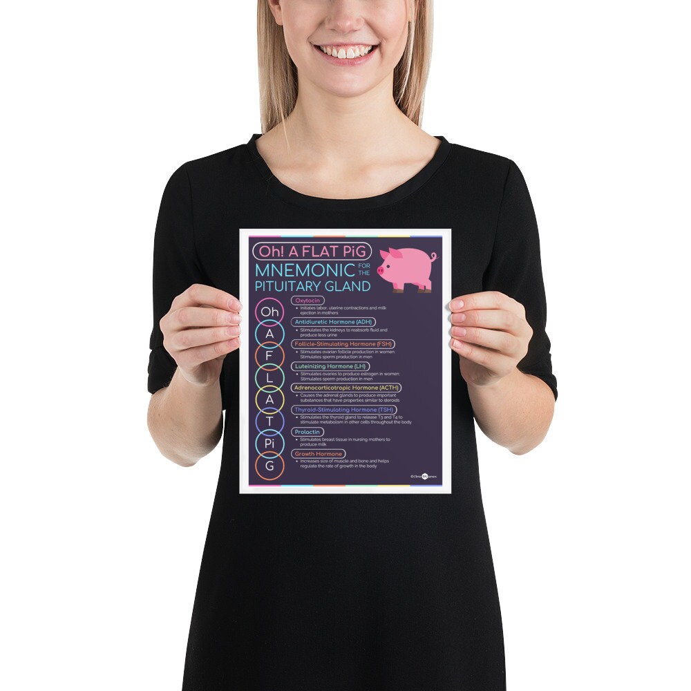 Pituitary Gland Mnemonic Print | Endocrinologist Gift | Doctor Office ...
