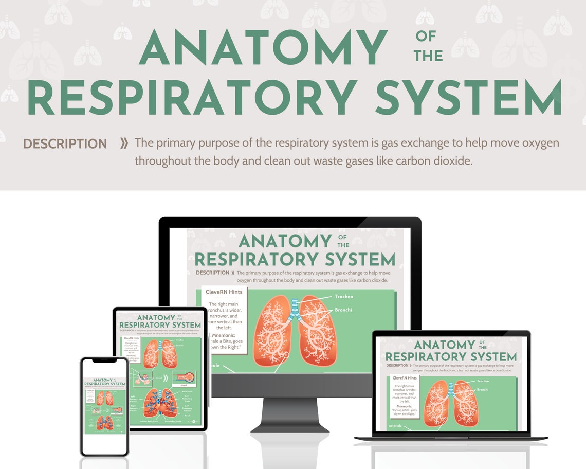 Respiratory System Anatomy Print B DIGITAL DOWNLOAD Pulmonologist Gift ...