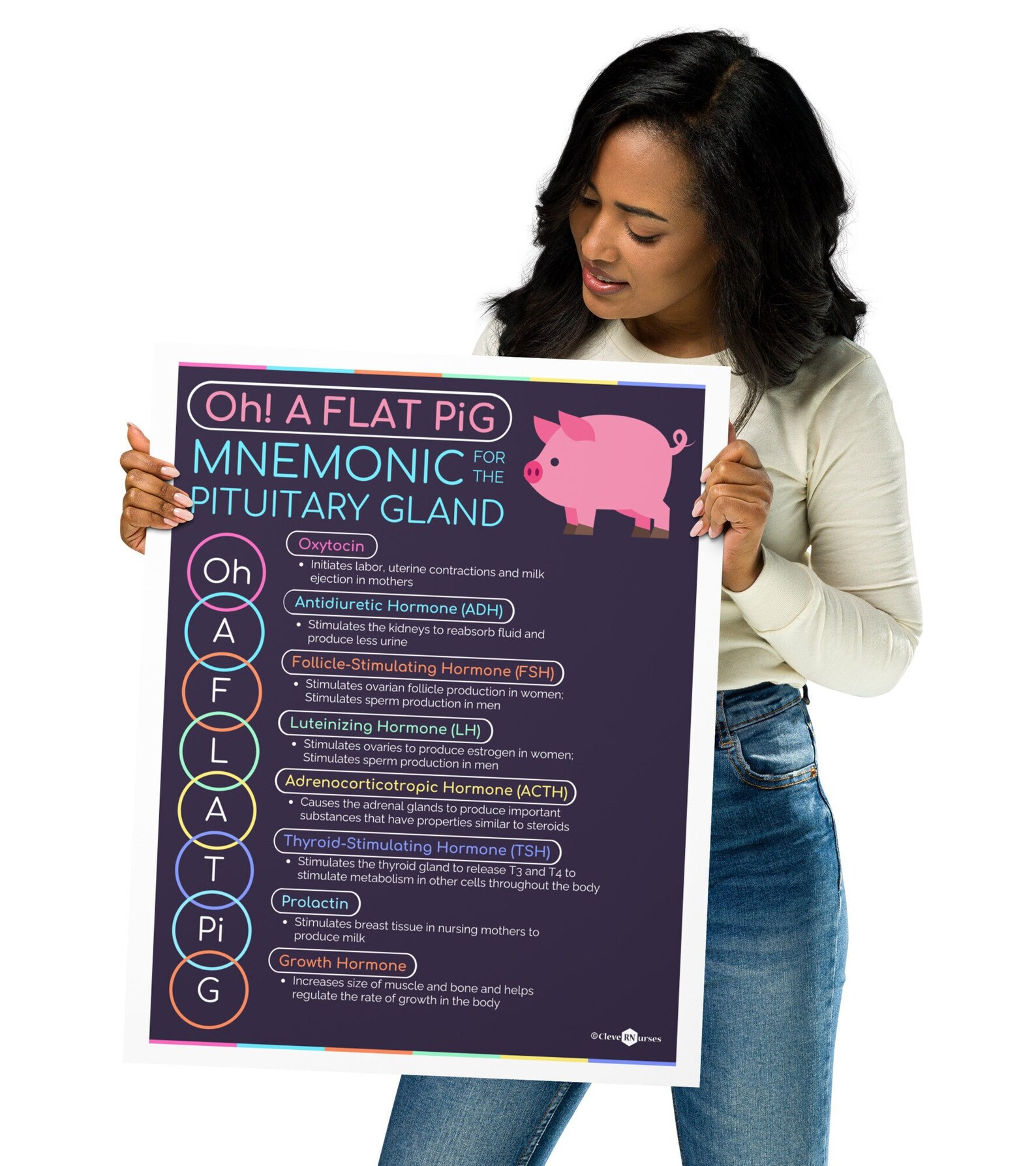 Pituitary Gland Mnemonic Print | Endocrinologist Gift | Doctor Office ...