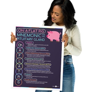 Pituitary Gland Mnemonic Print | Endocrinologist Gift | Doctor Office ...