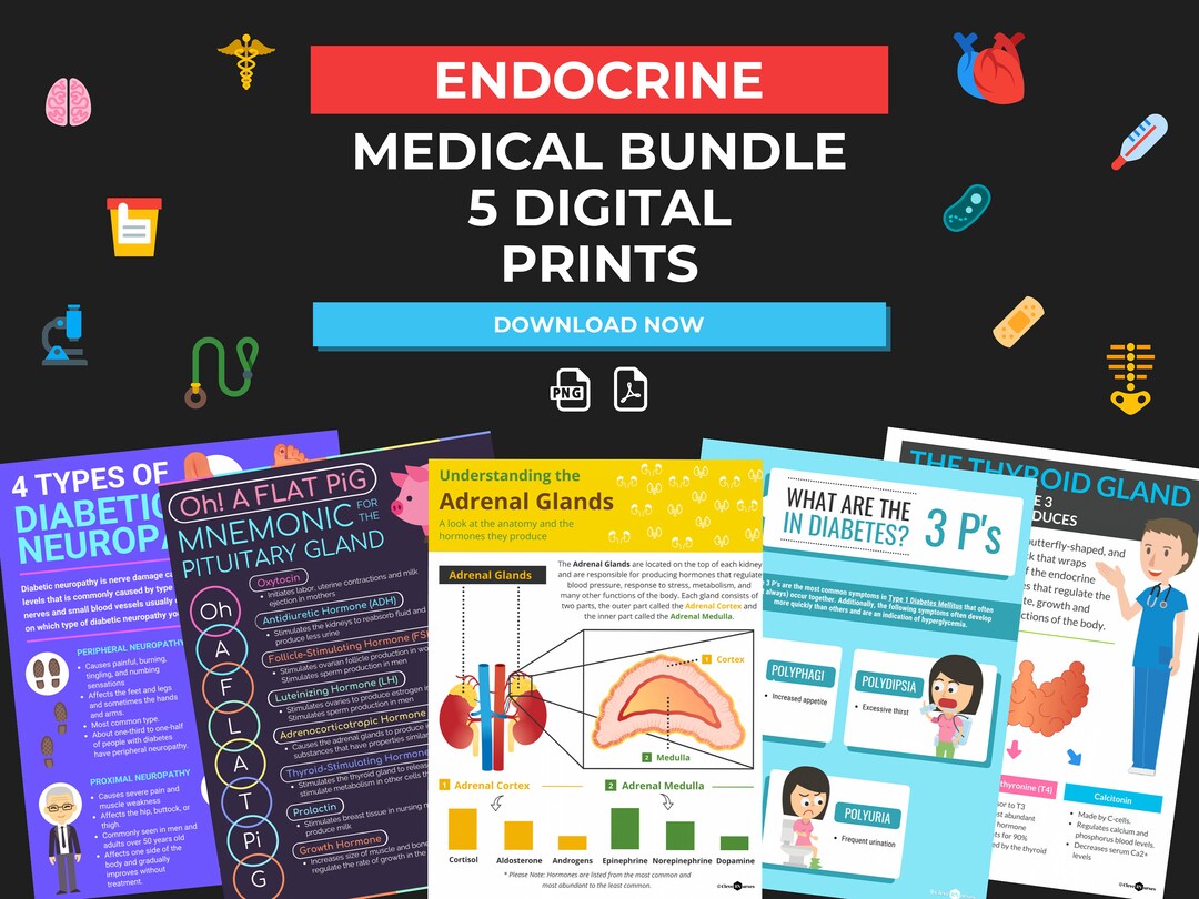 Endocrine Medical Bundle Prints | DIGITAL DOWNLOAD | Endocrinologist ...