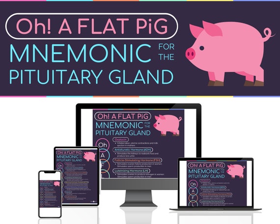 Pituitary Gland Mnemonic Print DIGITAL DOWNLOAD - Etsy