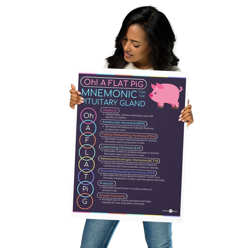 Pituitary Gland Mnemonic Print | Endocrinologist Gift | Doctor Office ...