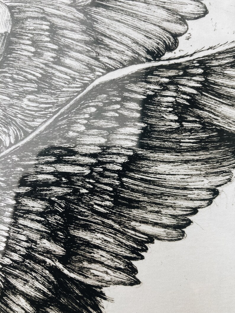 Crane Ink Drawing - Etsy