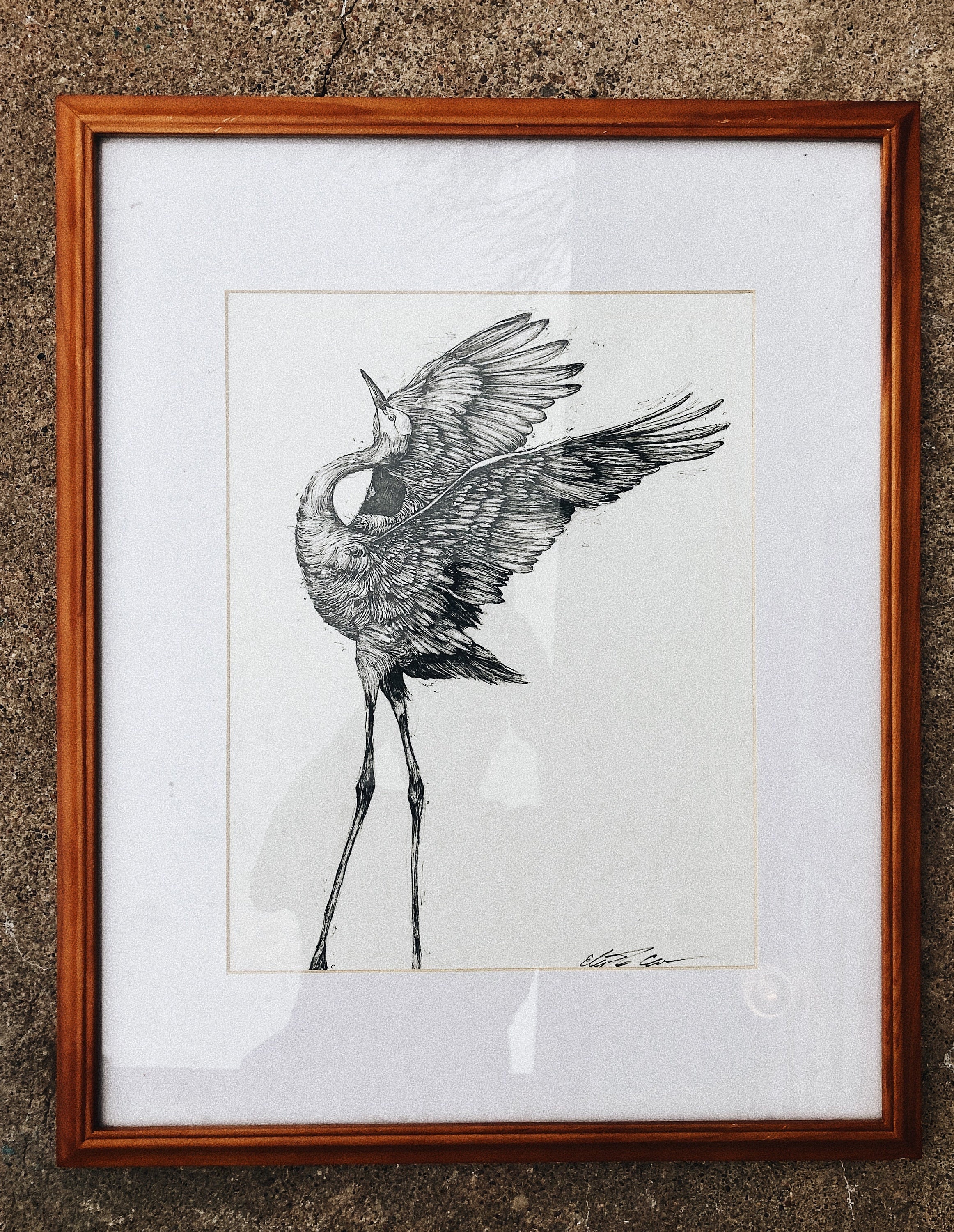 Crane Ink Drawing - Etsy