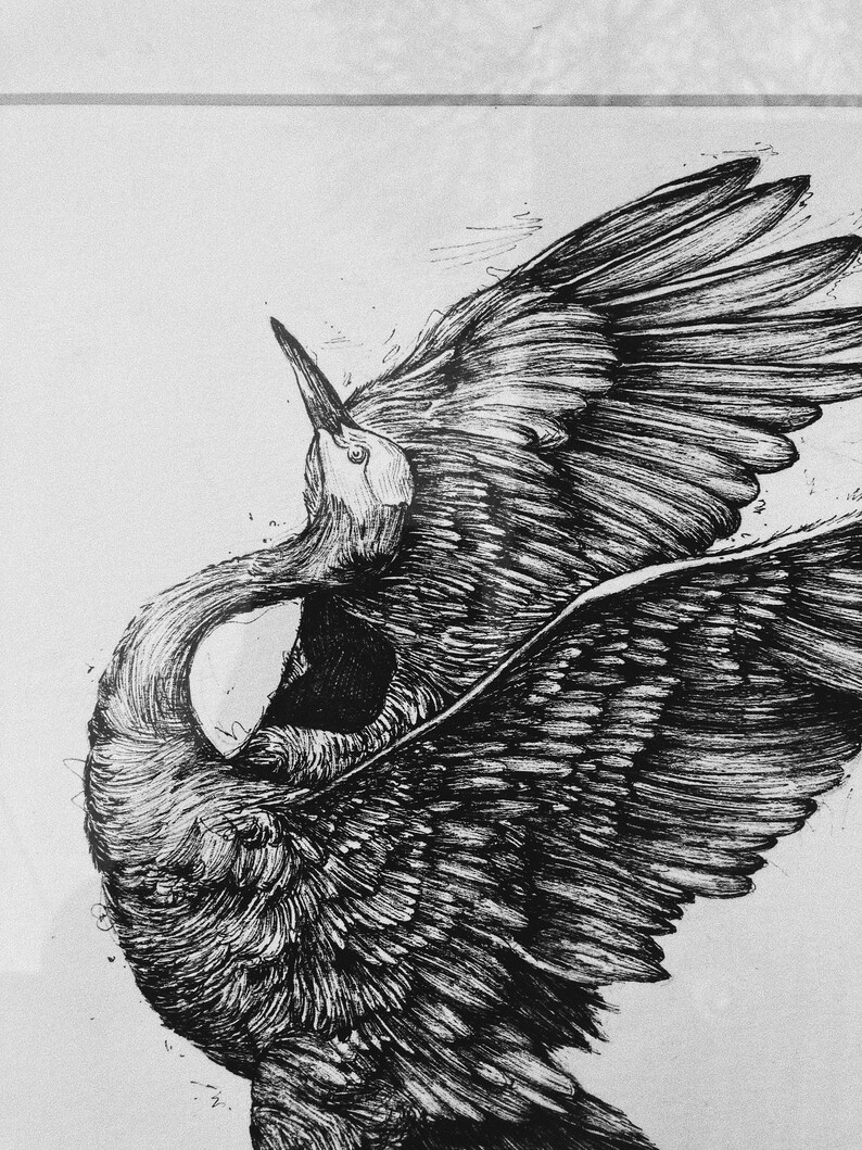 Crane Ink Drawing - Etsy