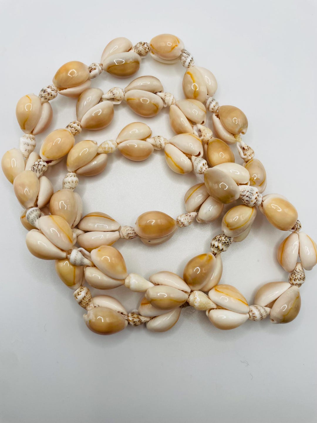 Cowrie Mini Conch Shell Necklace Boho Hawaiian Bead Shell Beach ...