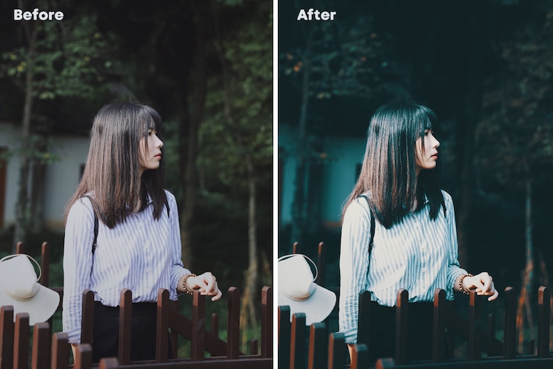 12 Cinematic Luts Pack - for Video Editing and Photo Editing, Color ...