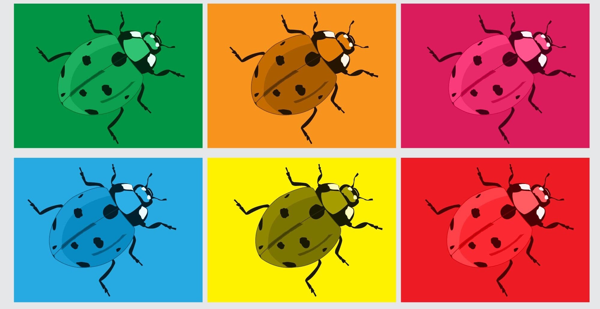 Vector Ladybug Graphic, EPS, PNG, JPG - Etsy