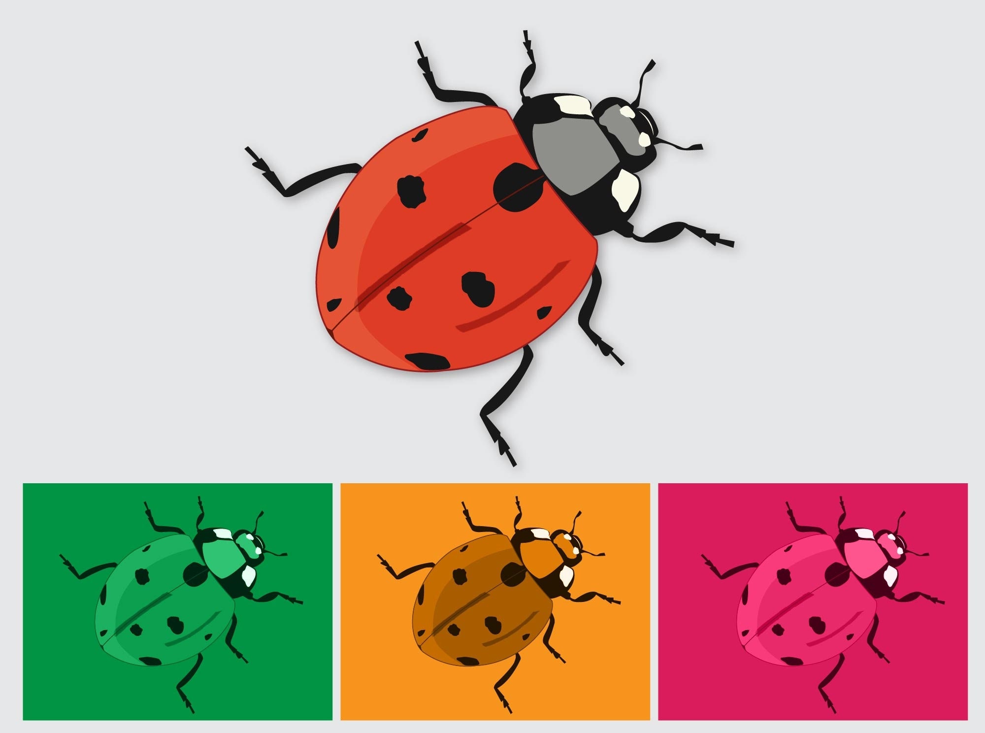 Vector Ladybug Graphic, EPS, PNG, JPG - Etsy