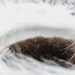White Goat Fur Knee Yeti Fur Boots Winter High Fur Boots - Etsy